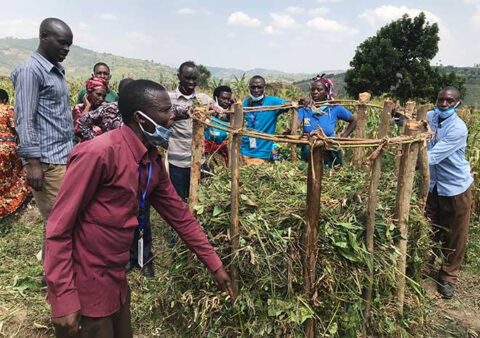 How We Work - Lifeworks Global