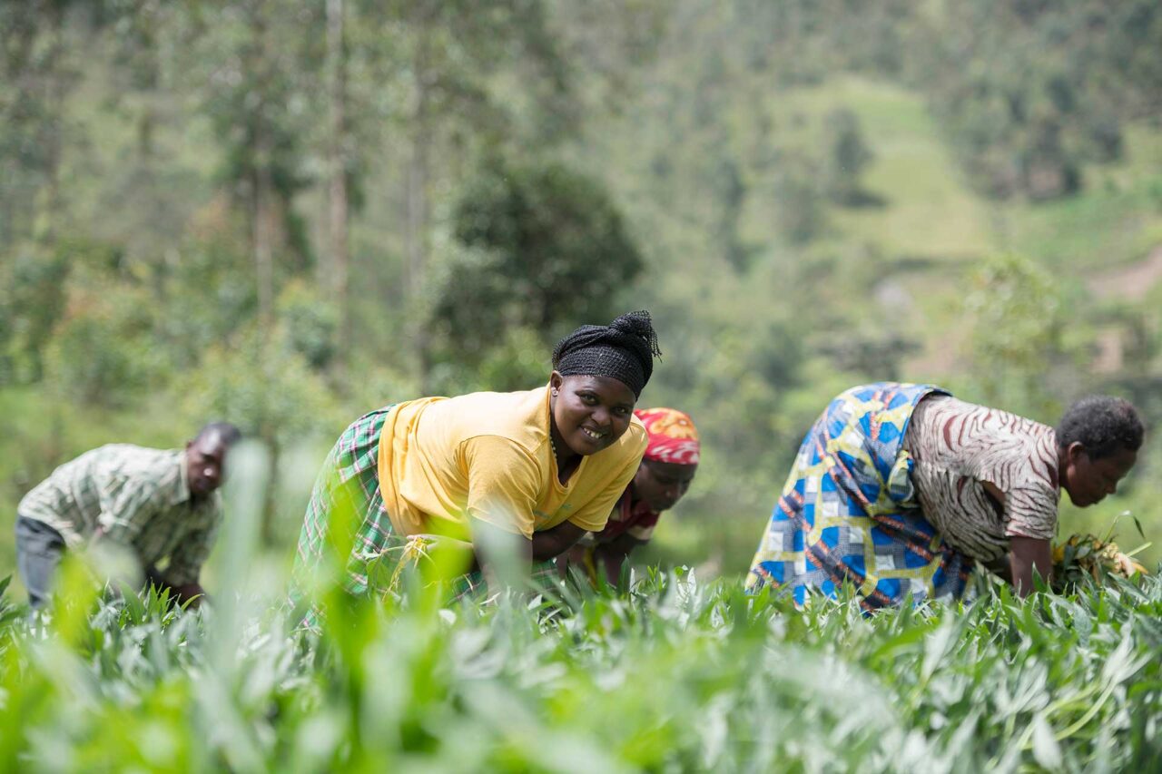 How We Work - Lifeworks Global