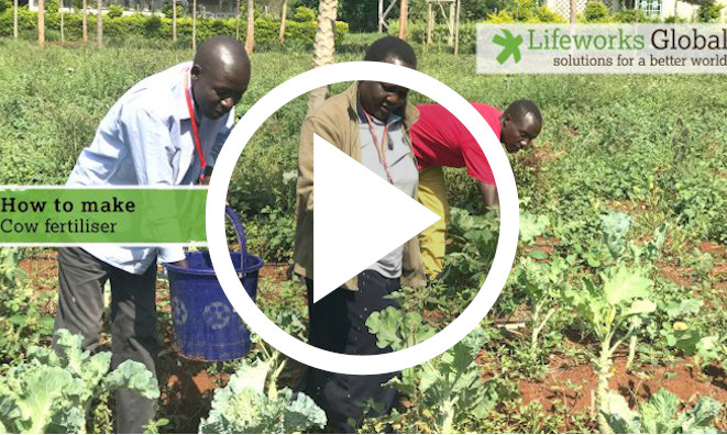 Resources - Lifeworks Global