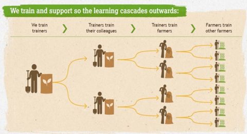 How We Work - Lifeworks Global