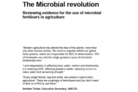 Resources - Lifeworks Global