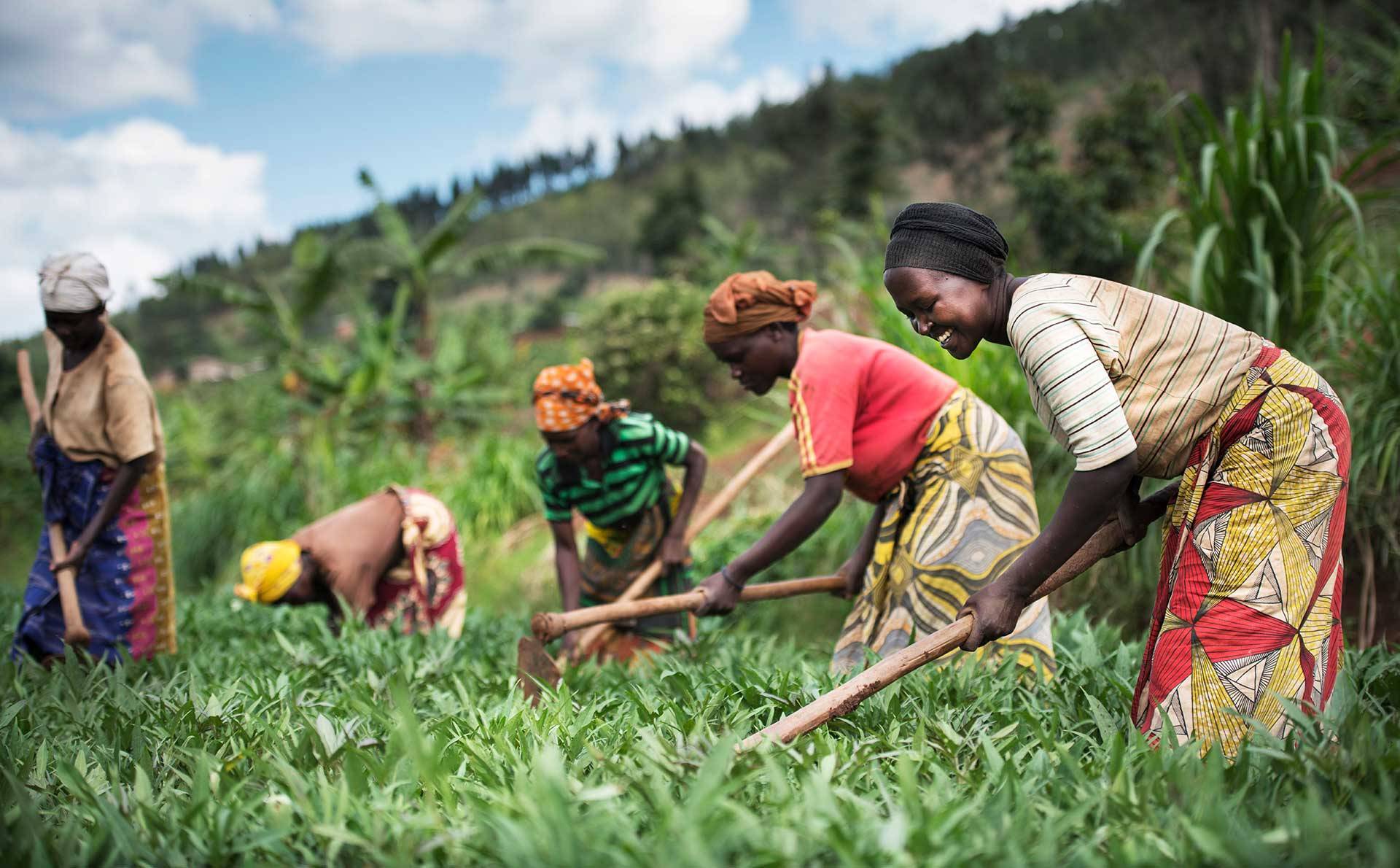 Resources - Lifeworks Global